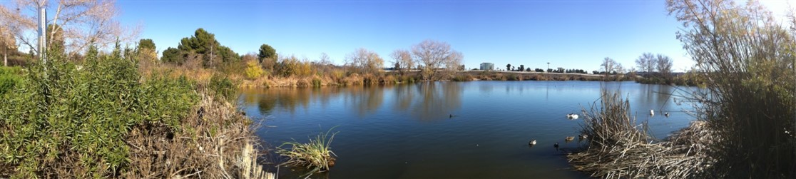 Tours of the Sepulveda Basin Wildlife Reserve - for Groups - San ...