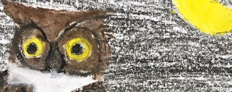 San Fernando Valley Audubon Society – For Nature Education and ...