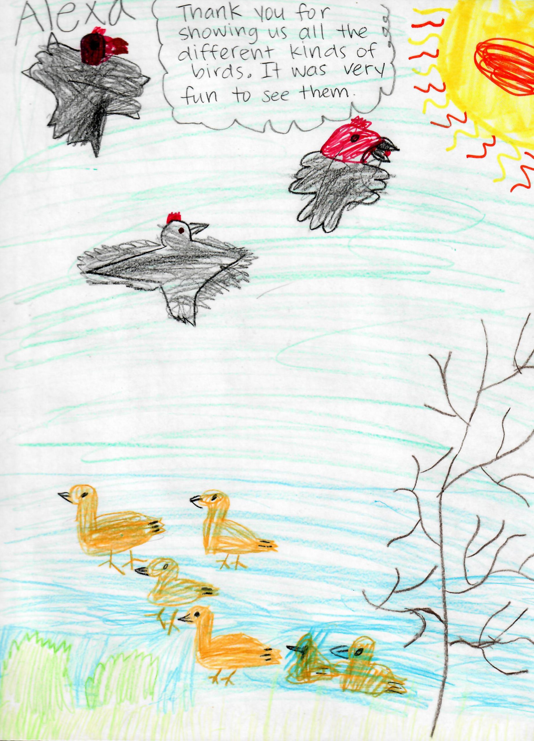 SBEEP - San Fernando Valley Audubon Society