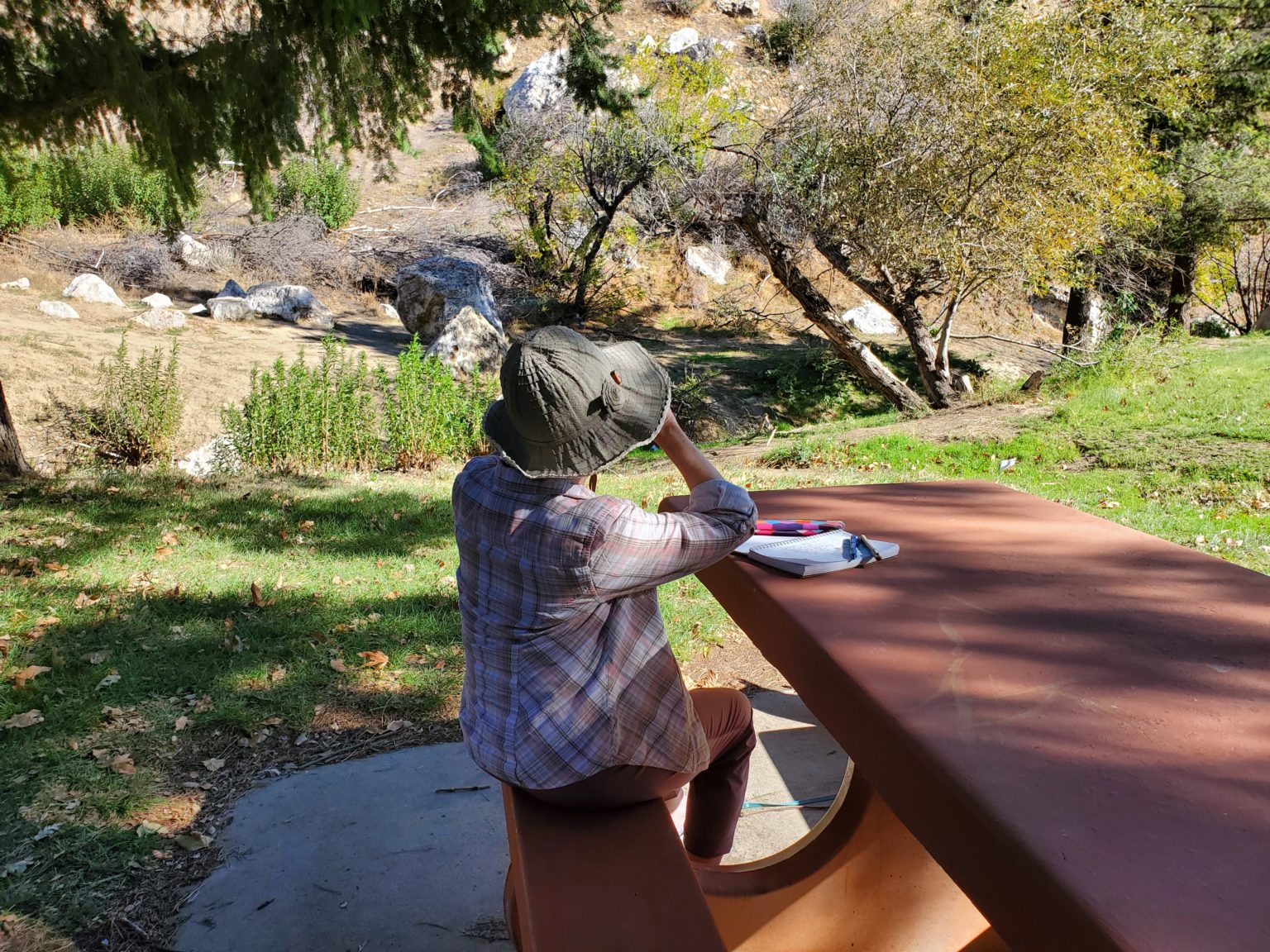 A Bird Sit with Nature Journaling - San Fernando Valley Audubon Society